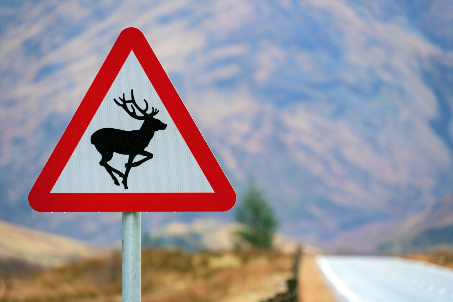 Know Your Traffic Signs (Free Course) - Test Buddy